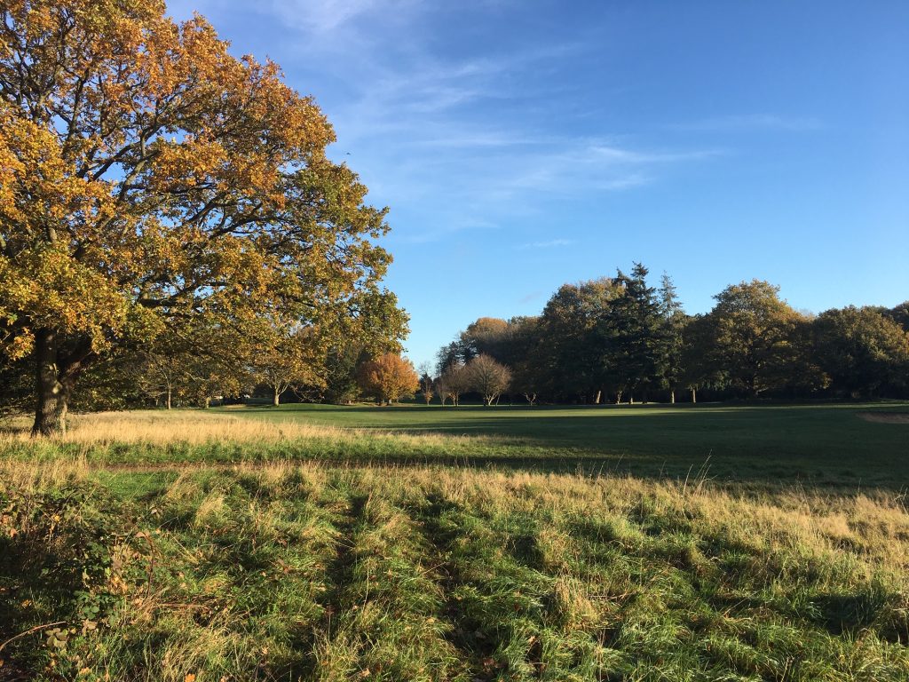 Open letter to the people of Maidenhead - Maidenhead Great Park