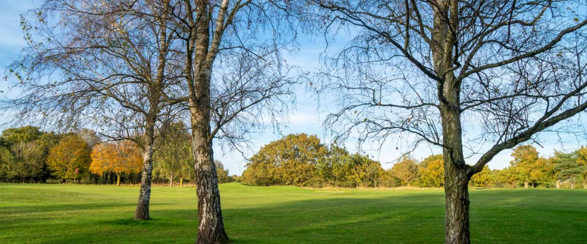 Maidenhead Great Park - The vision of a new park for the community