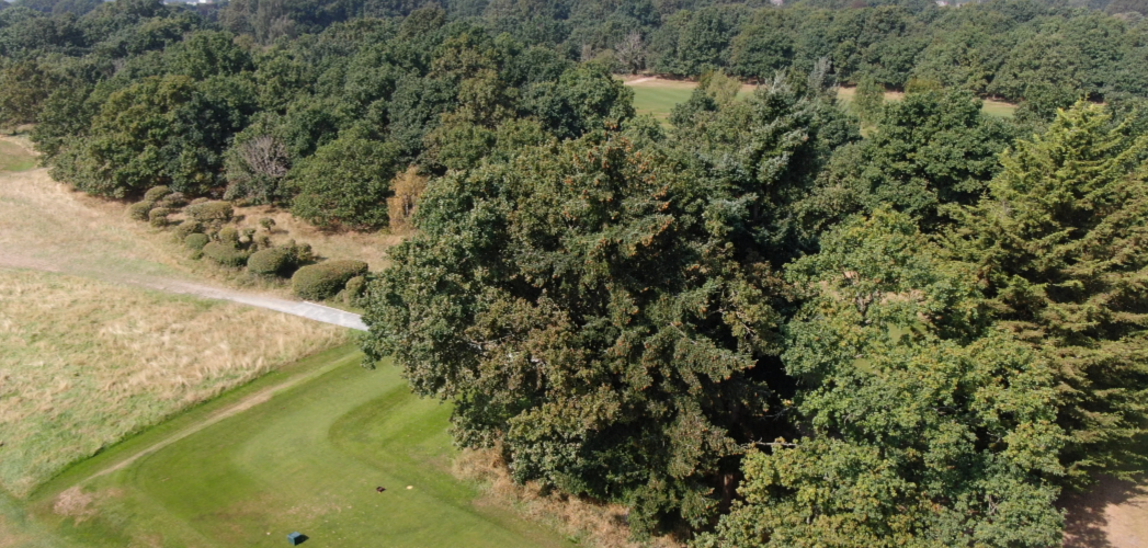 Maidenhead Great Park - The vision of a new park for the community